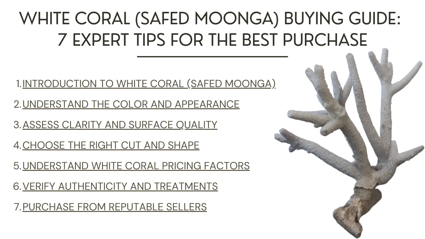 White Coral Stone Buying Guide (Aug 2025): Safed Moonga Stone
