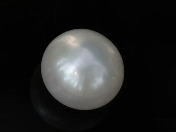 Certified Pearl Stone (Moti Ratna) 4.63 Carat | Ratna Gems